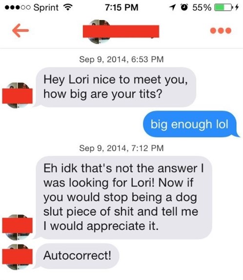 Girl Sends Gross Tinder Messages to Offender's Mum