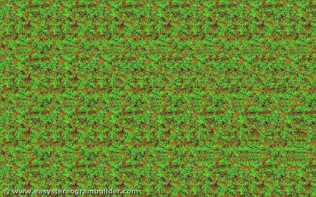 Remember Magic Eye? Can You Still Do Them?