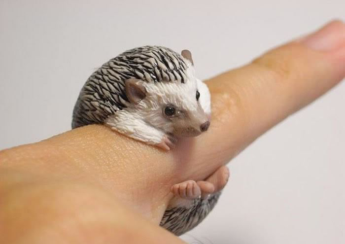 Cute Realistic Animal Rings