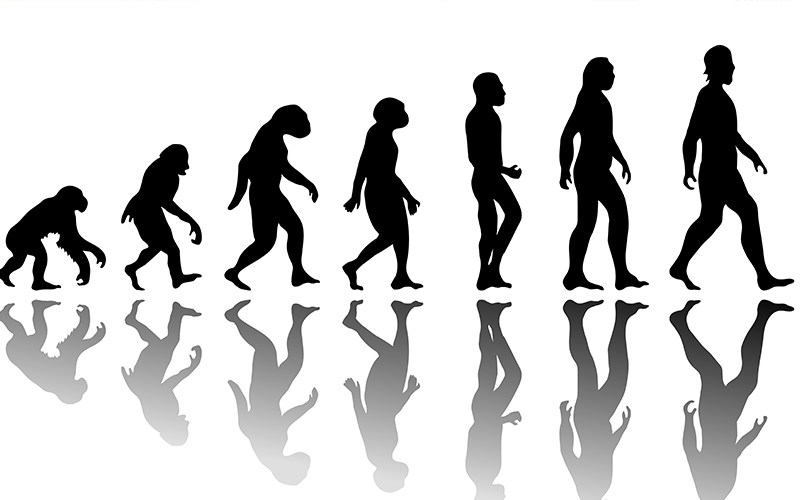 Photos - What Humans of The Future Will Look Like